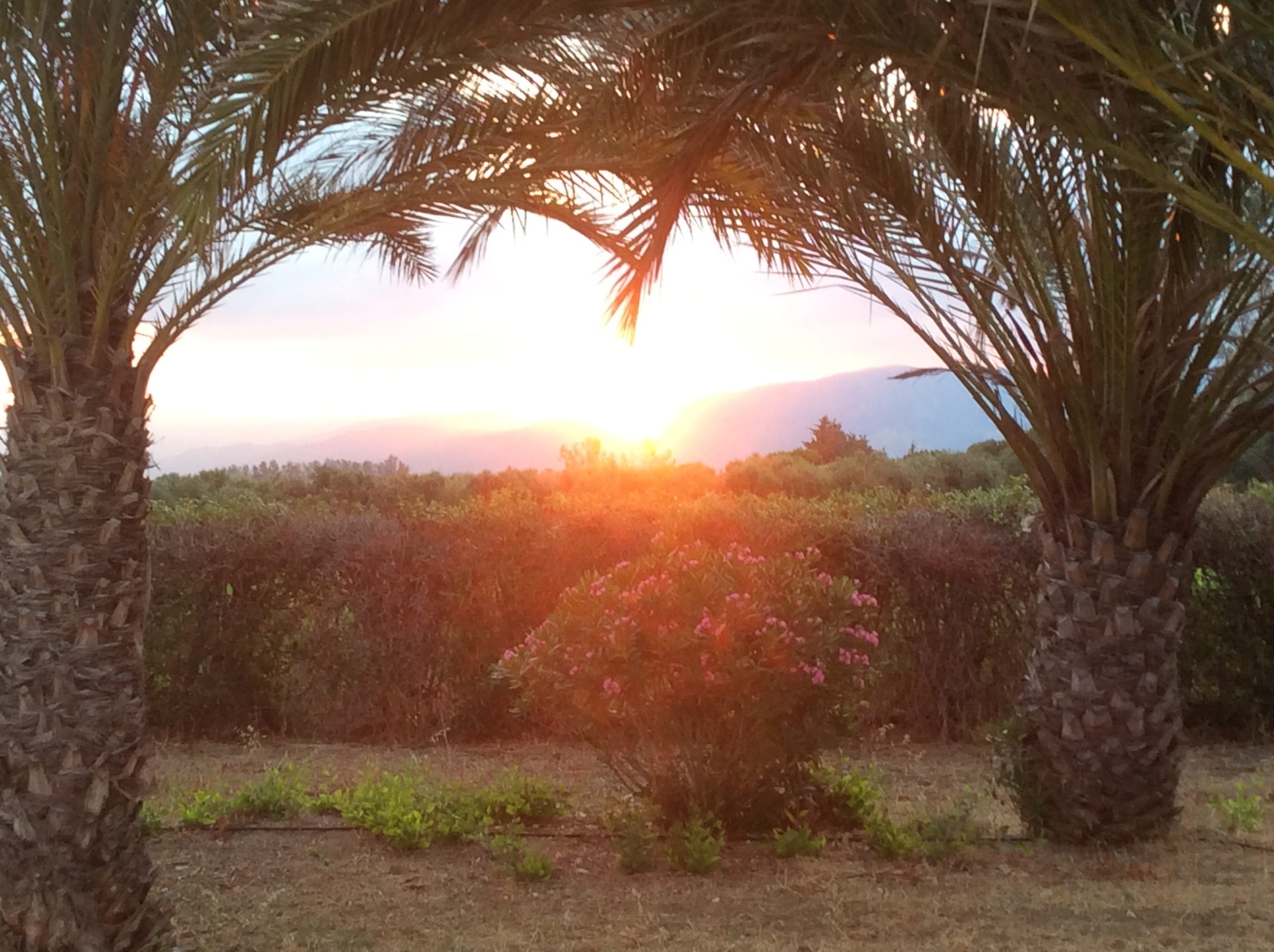 Dinacharya - Ayurveda Guidelines for your Daily Routine - Heart Of ...